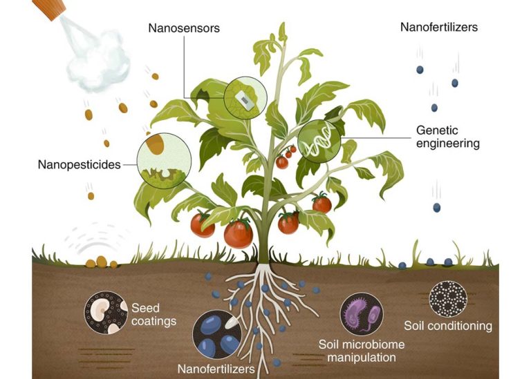 نانو تکنولوژی چیست؟ تعریفی ساده و علمی از فناوری نانو - ecoshaar