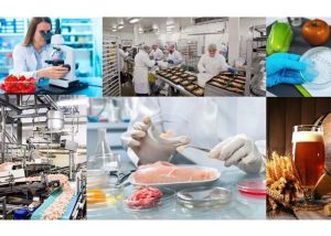 نانو تکنولوژی چیست؟ تعریفی ساده و علمی از فناوری نانو - ecoshaar